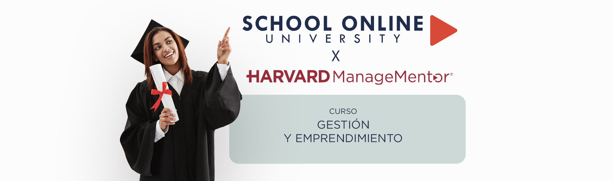 Gestión y emprendimiento - Programa Harvard ManageMentor - School ...
